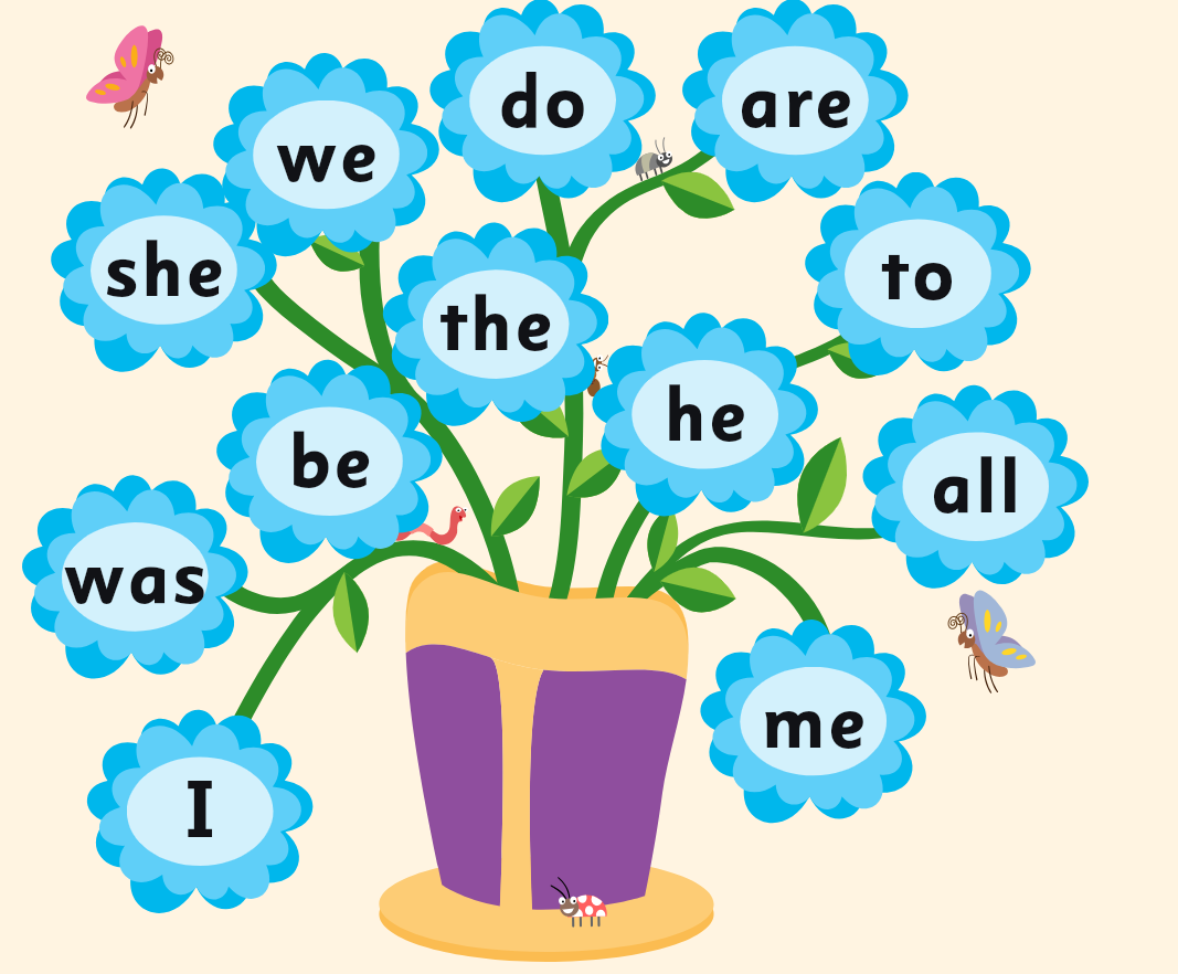 Tricky Words phase 1 icon